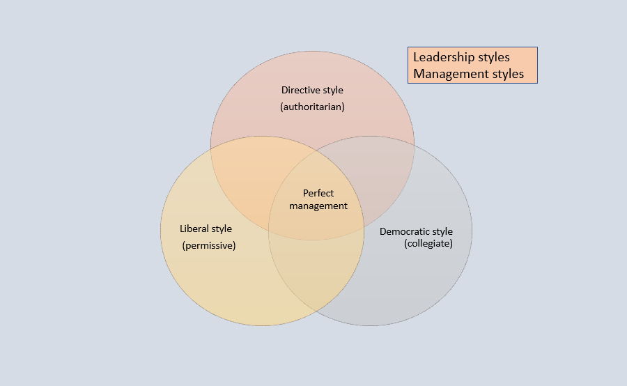 Company Management in Finland – Finrepo